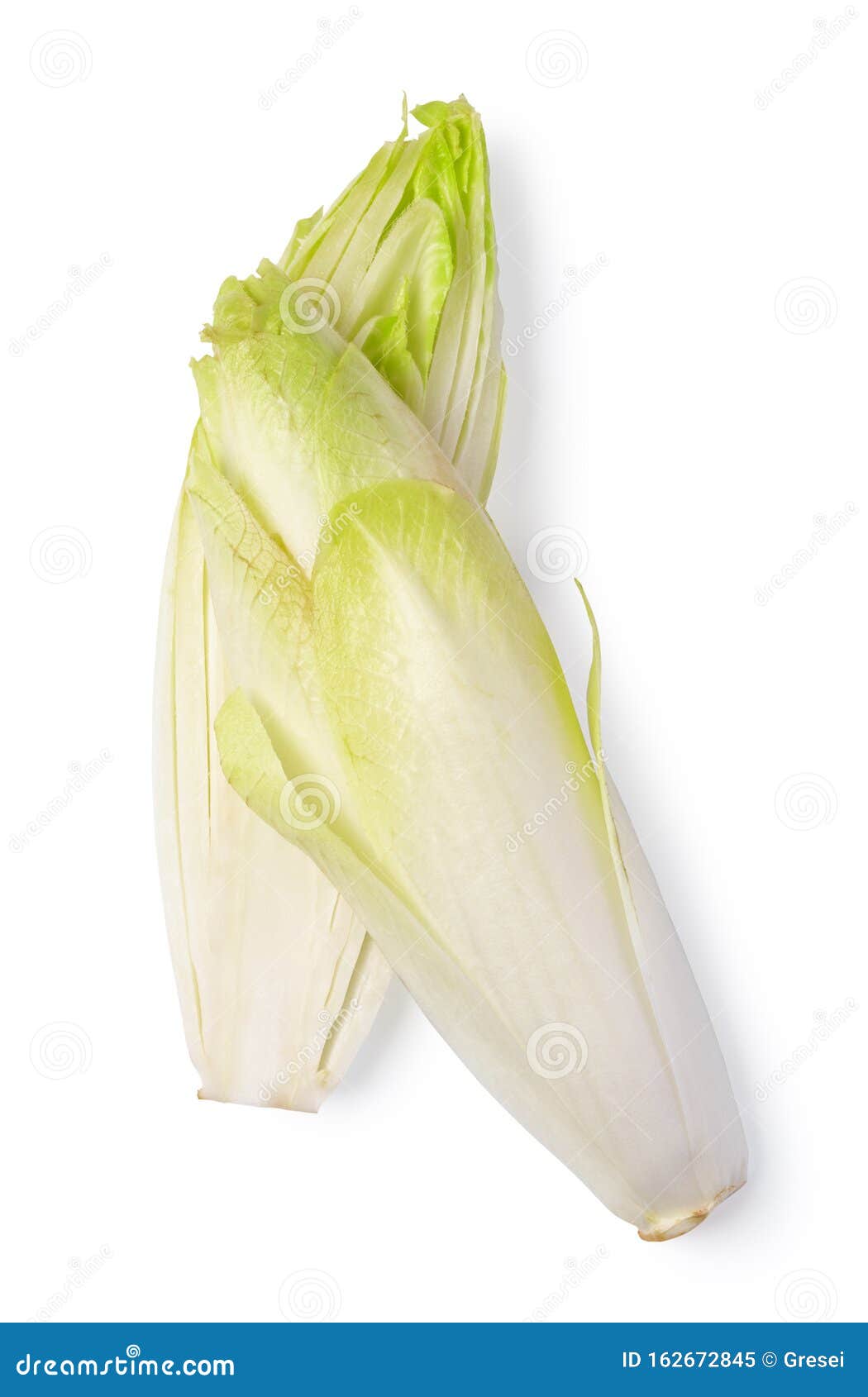 Fresh Endives stock image. Image of delicious, diet - 162672845