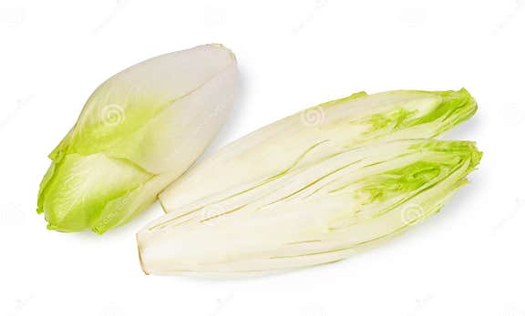 Fresh Endives stock photo. Image of diet, chicory, agriculture - 162672912