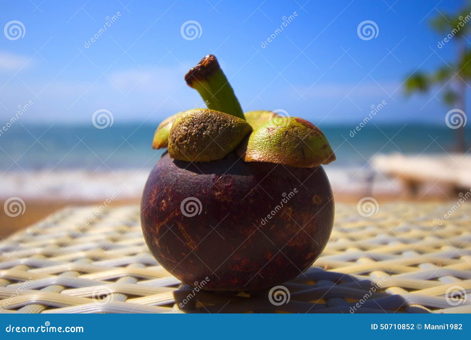 Fresh Exotic Mangostin Fruit at a Balinese Beach Stock Photo - Image of ...