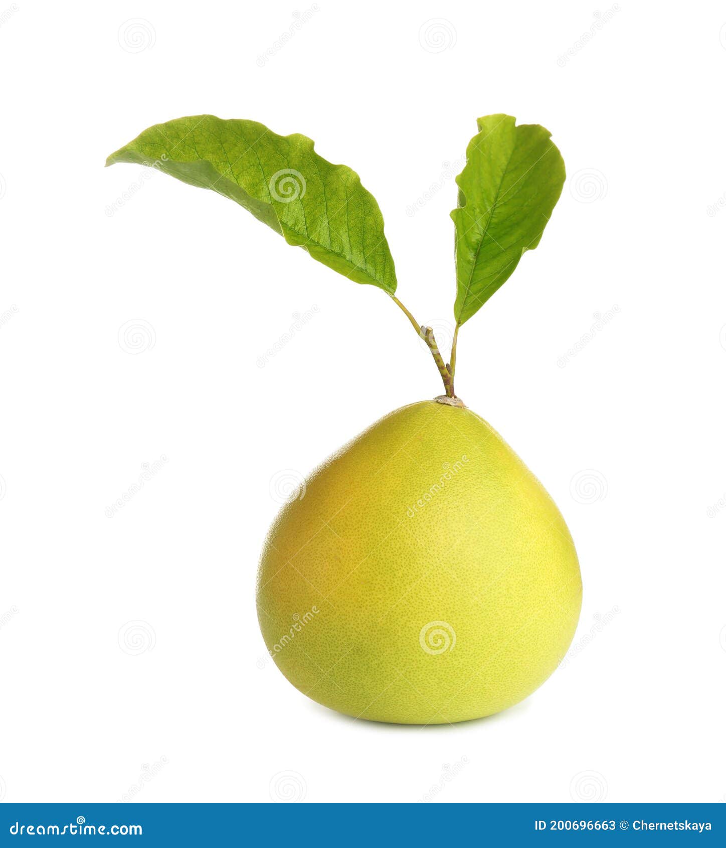 Fresh Exotic Pomelo Fruit with Leaves Isolated on White Stock Image ...