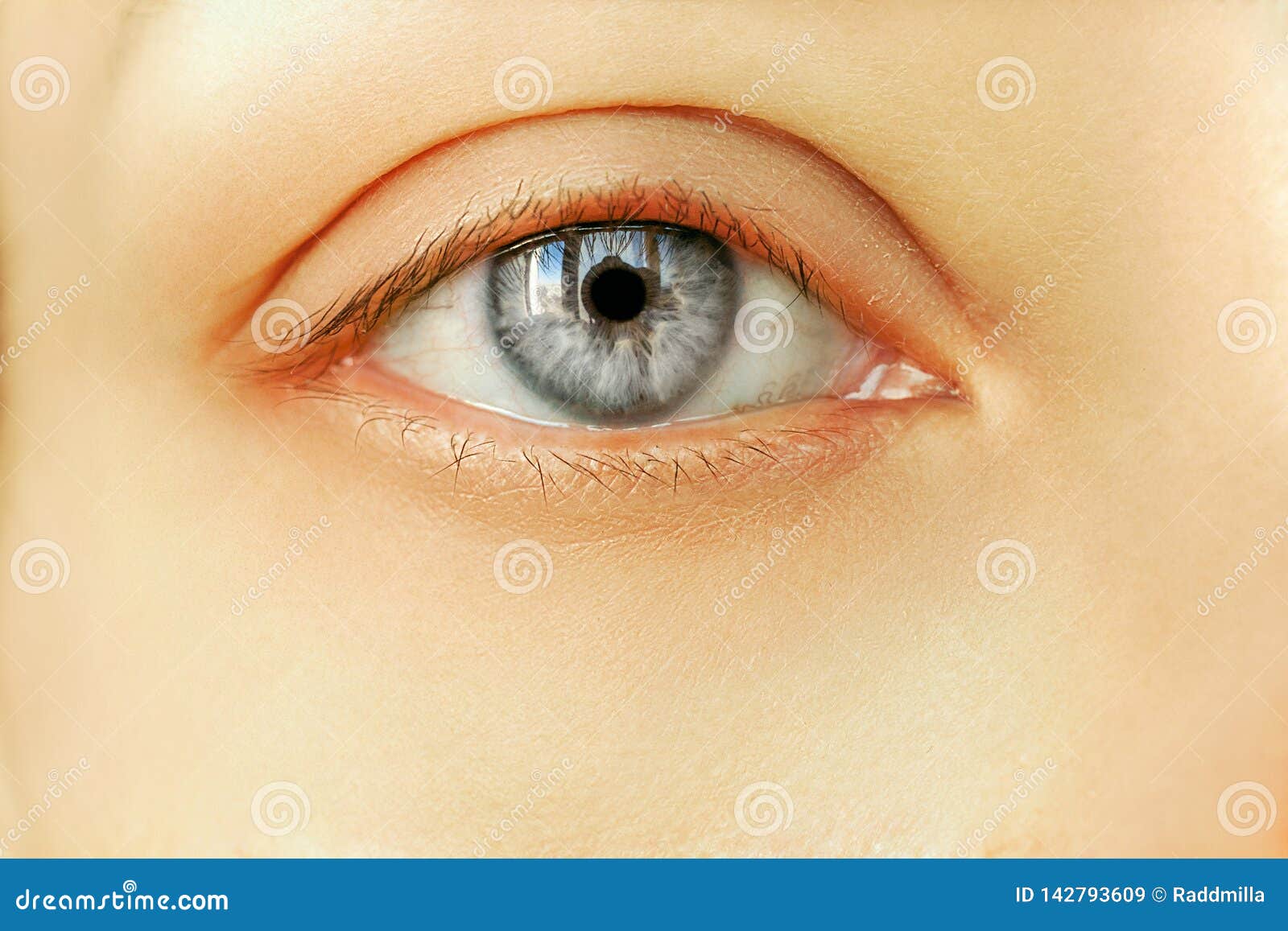 Fresh eye close-up stock image. Image of color, face - 142793609