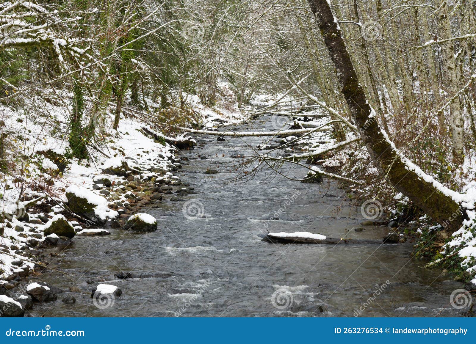 Fresh Fallen Snow Along the Banks of a Stream Stock Photo - Image of ...