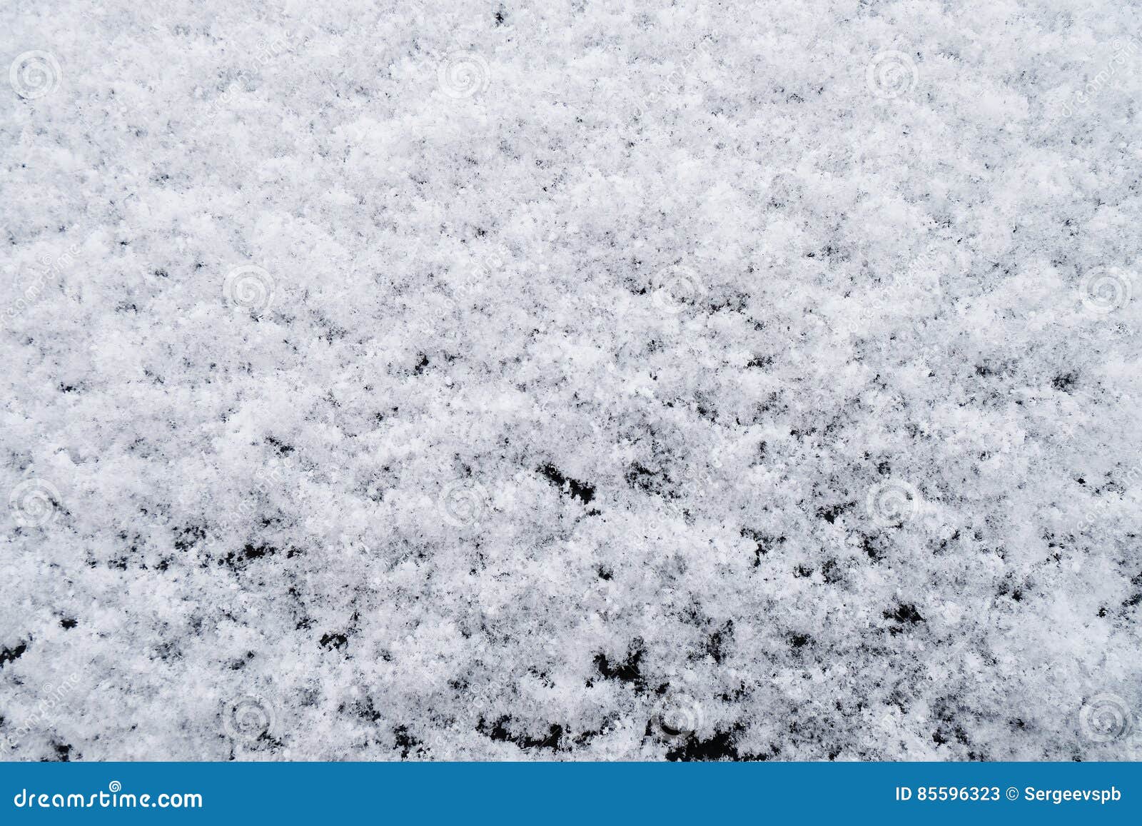 Fresh fallen snow stock image. Image of christmas, beautiful - 85596323