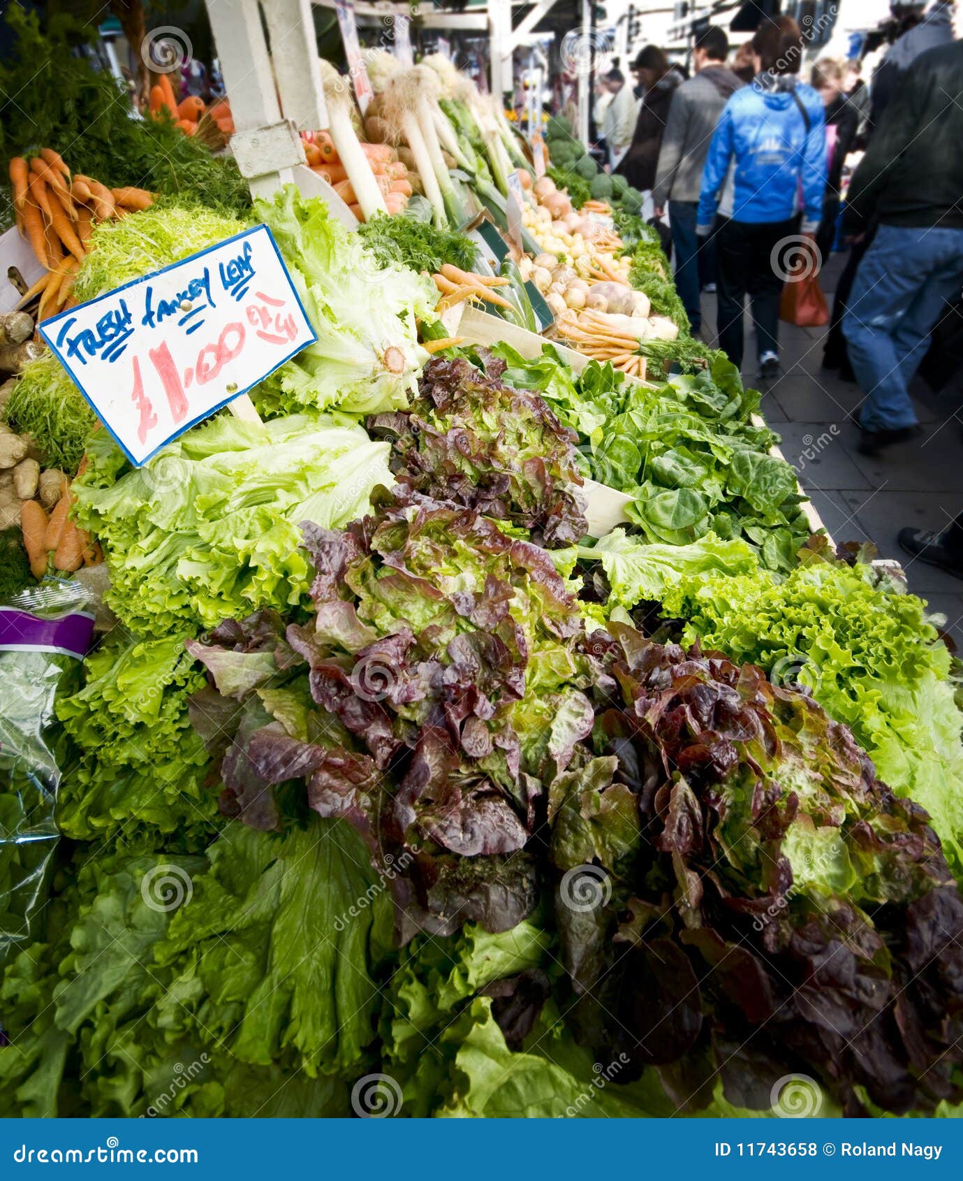 Fresh Fancy Leaf. stock photo. Image of groceries, focus - 11743658