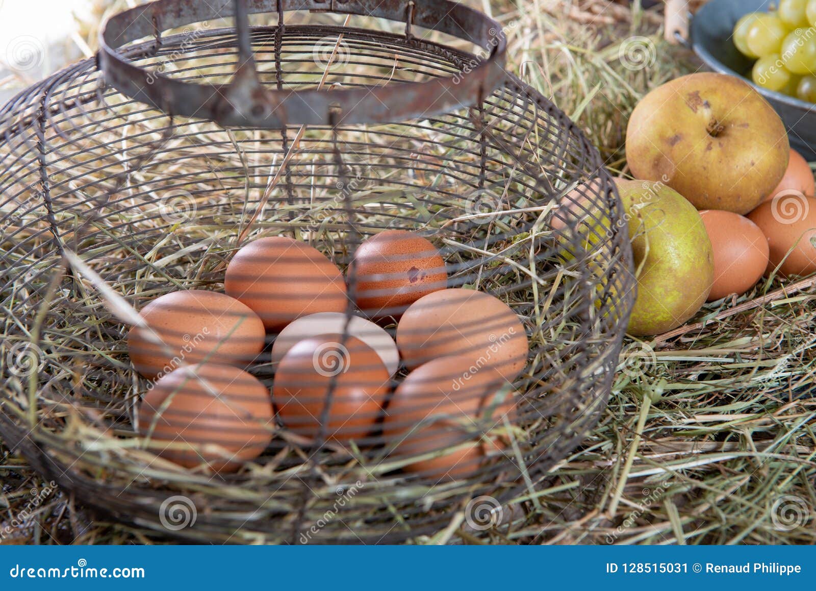 Fresh Farm Eggs in Wire Mesh Basket on the Straw Stock Image - Image of ...