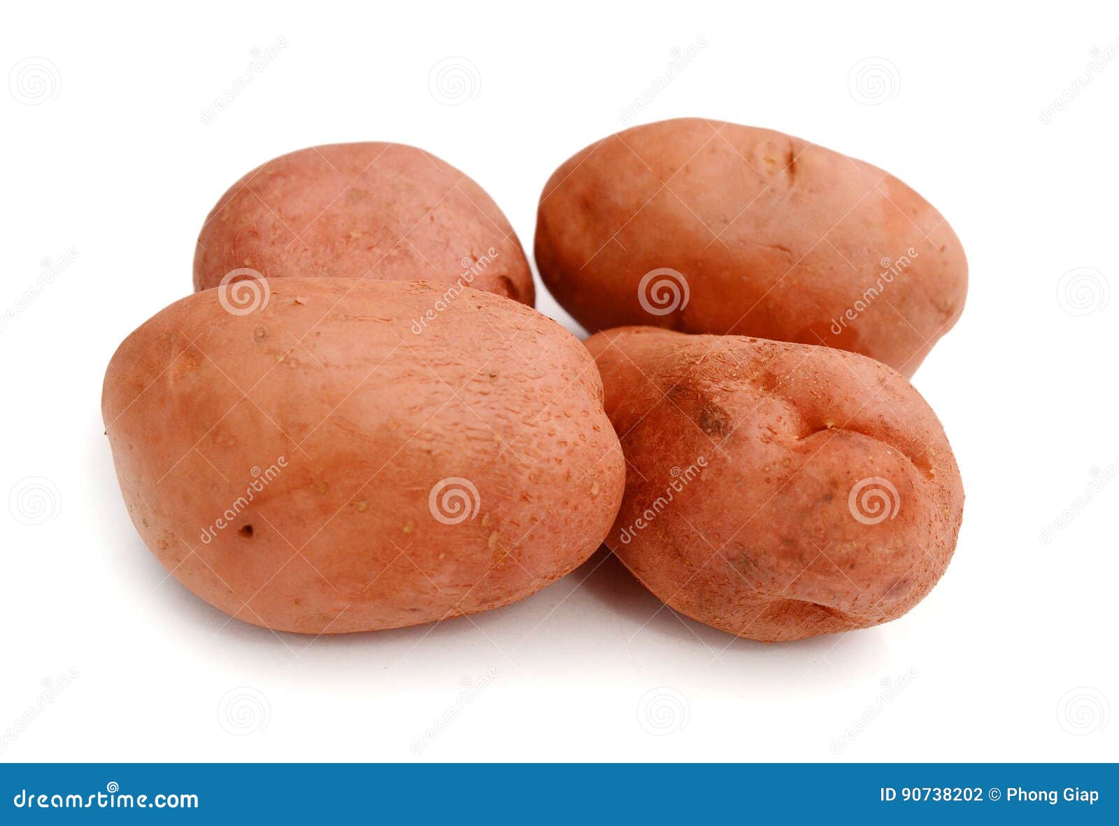 Fresh Farm Potato stock photo. Image of food, yellow - 90738202