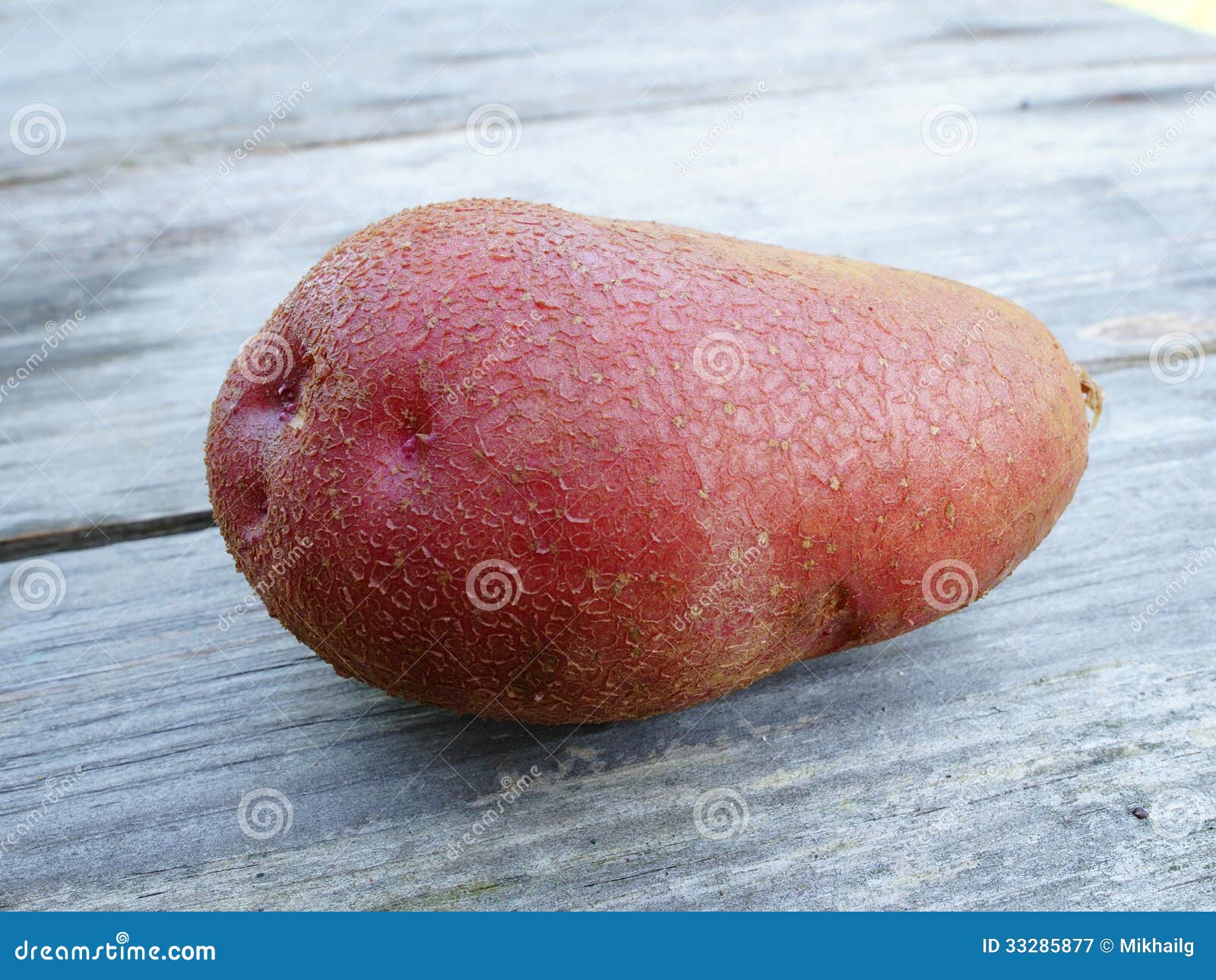 Fresh Farm Potato stock image. Image of agriculture, vegetables - 33285877