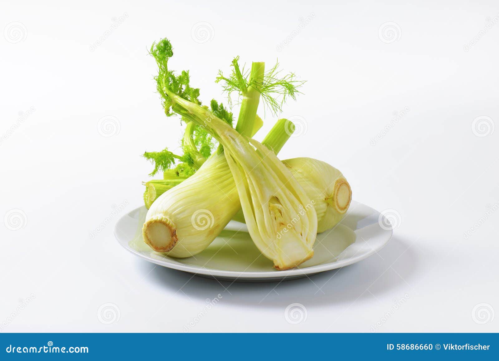 Fresh fennel bulbs stock photo. Image of fresh, vegetable - 58686660