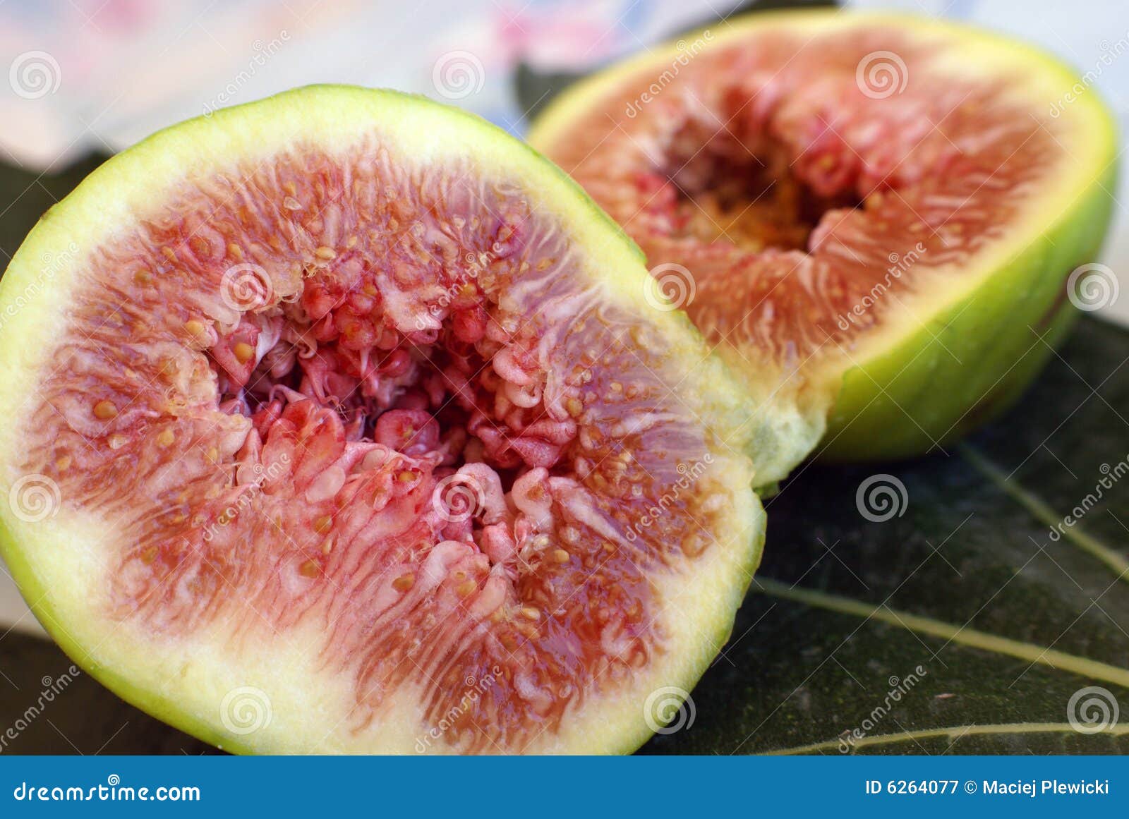 Fresh Fig stock image. Image of healthy, delicious, natural - 6264077