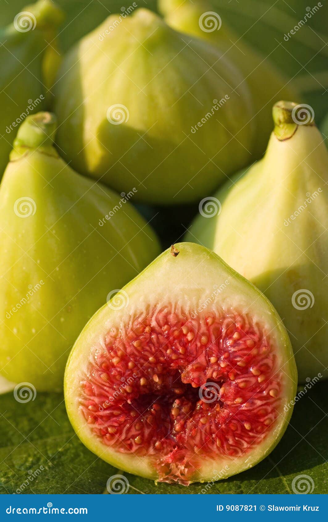 Fresh fig stock image. Image of fruit, grape, pulp, croatia - 9087821