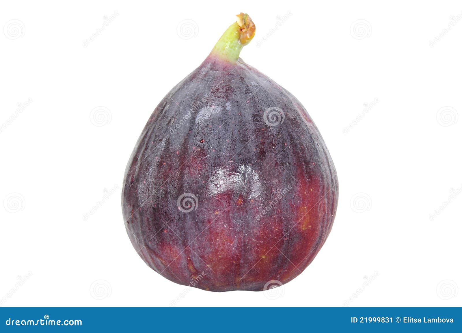 Fresh Fig Fruit Isolated on White Stock Image - Image of gourmet ...