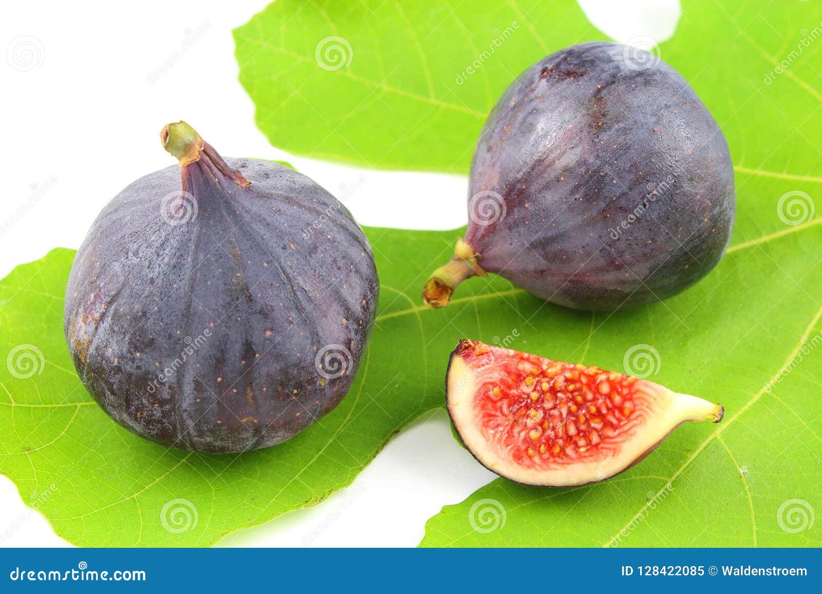Fresh Fig Fruits on a Fig Leaf Stock Image - Image of carica, herbal ...