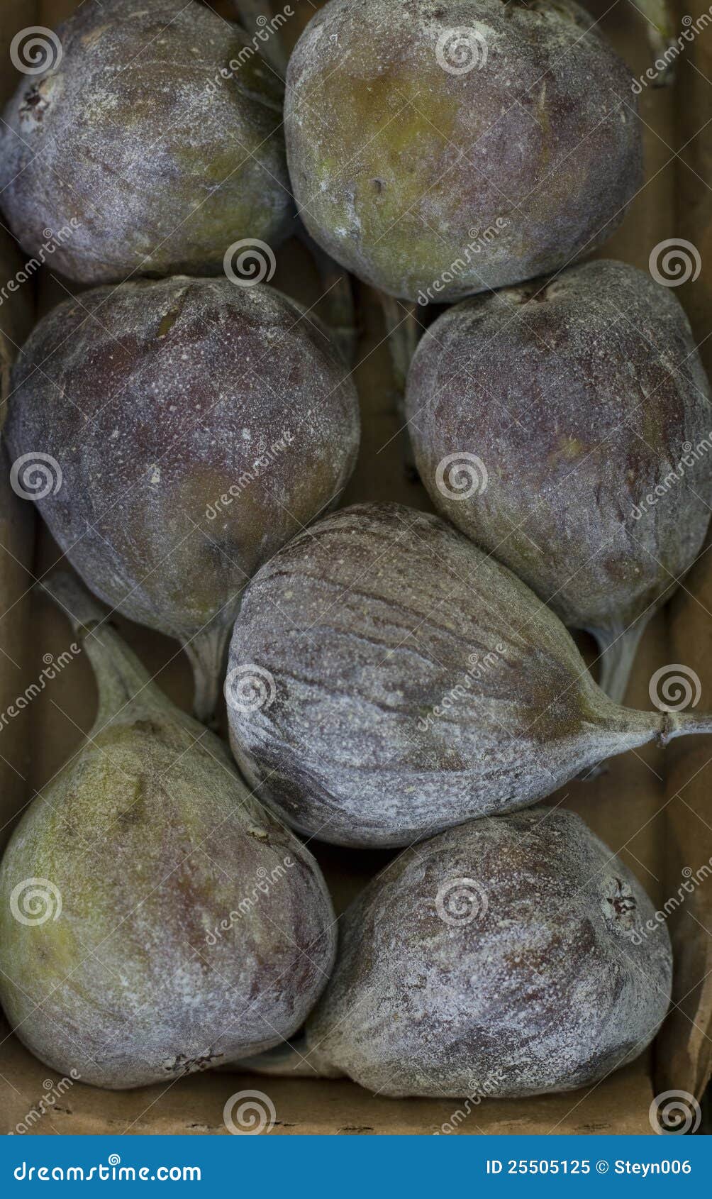 Fresh figs stock image. Image of figs, fruit, quality - 25505125