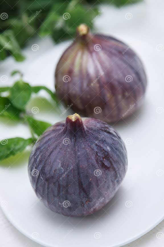 Fresh figs stock photo. Image of diet, sweet, mint, health - 29377042