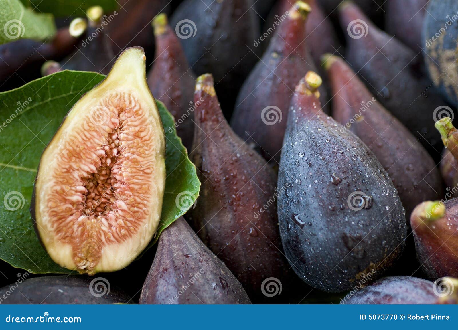 15,607 Fig Half Stock Photos - Free & Royalty-Free Stock Photos from ...