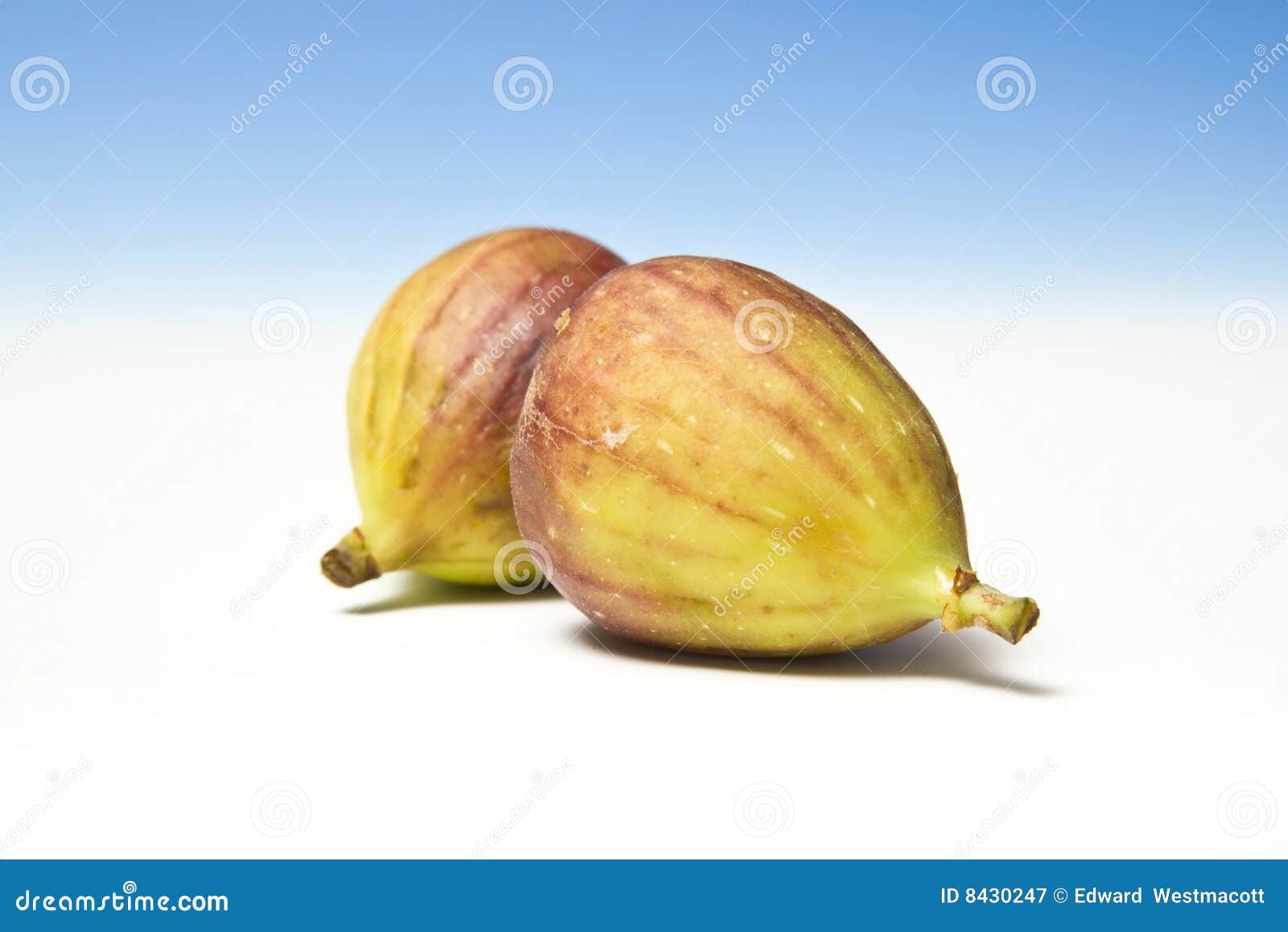 Two fresh figs stock image. Image of tasty, common, background - 8430247