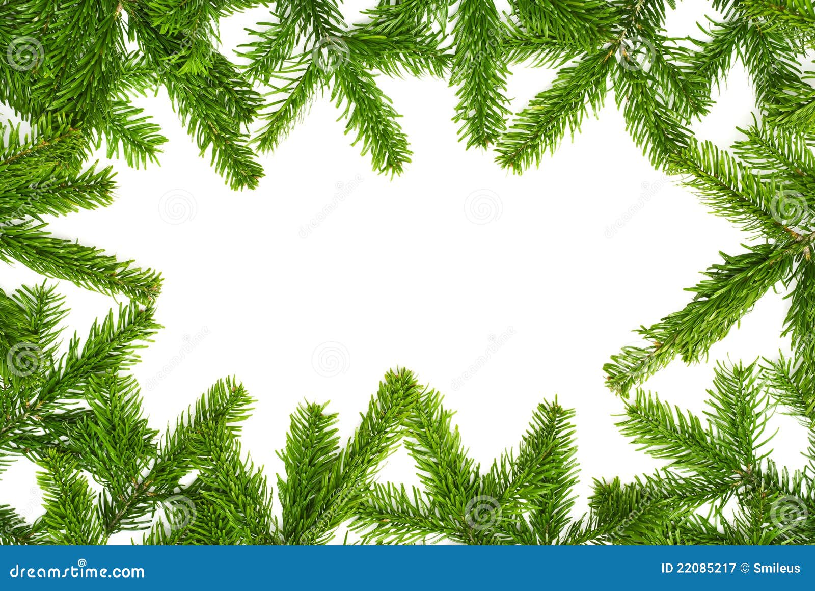 Fresh fir twigs border stock image. Image of frame, creative - 22085217