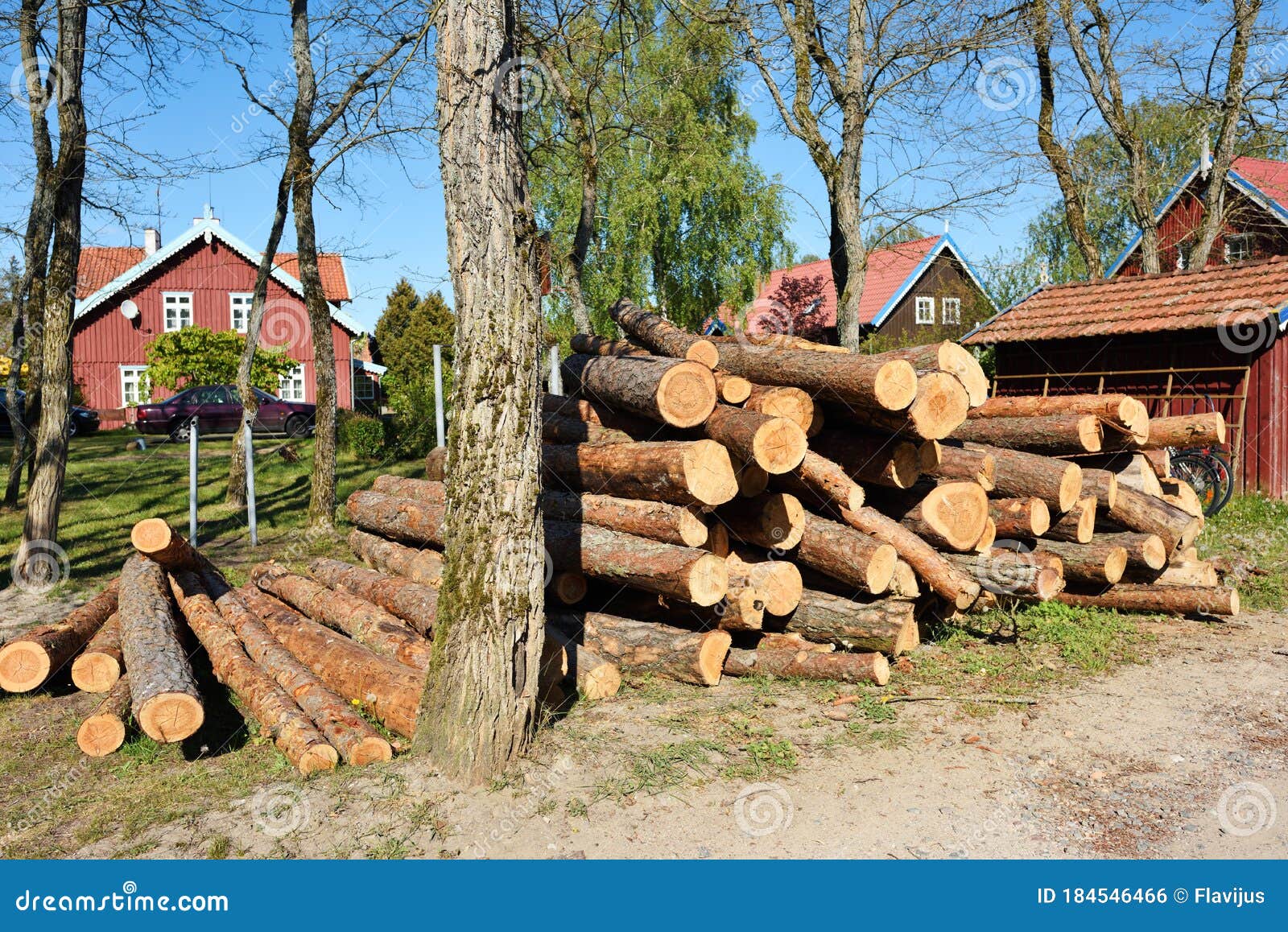 Fresh Firewood. Fresh Sawn Logs Stock Photo - Image of circle, fuel ...