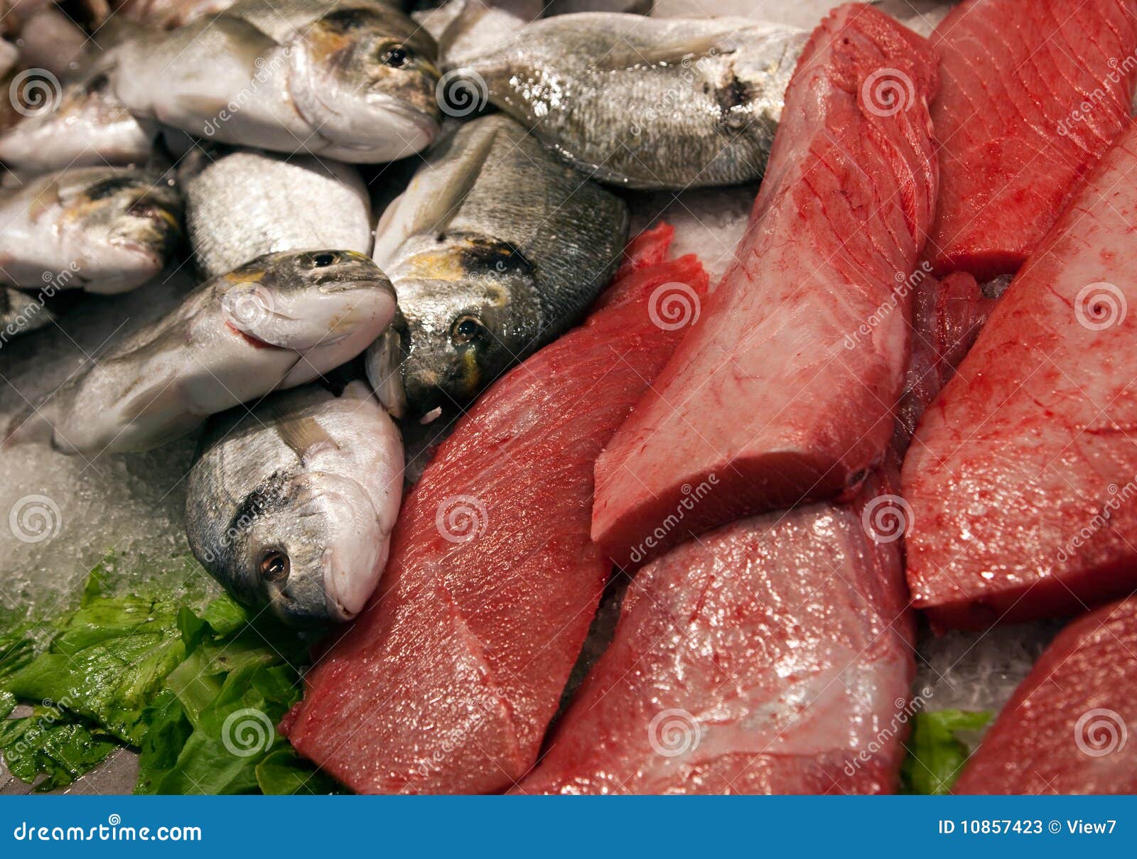 Fresh Fish stock image. Image of object, seafood, fresh - 10857423