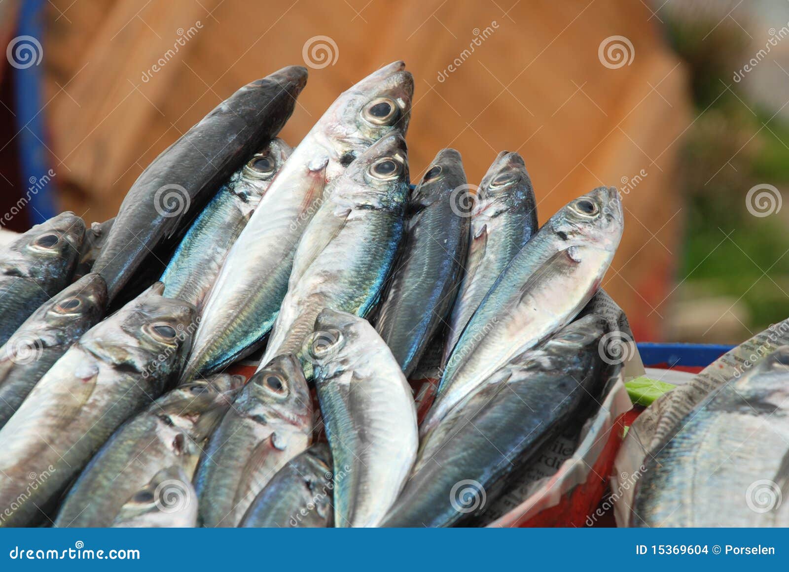 Fresh fish stock photo. Image of asia, food, offal, ordered - 15369604