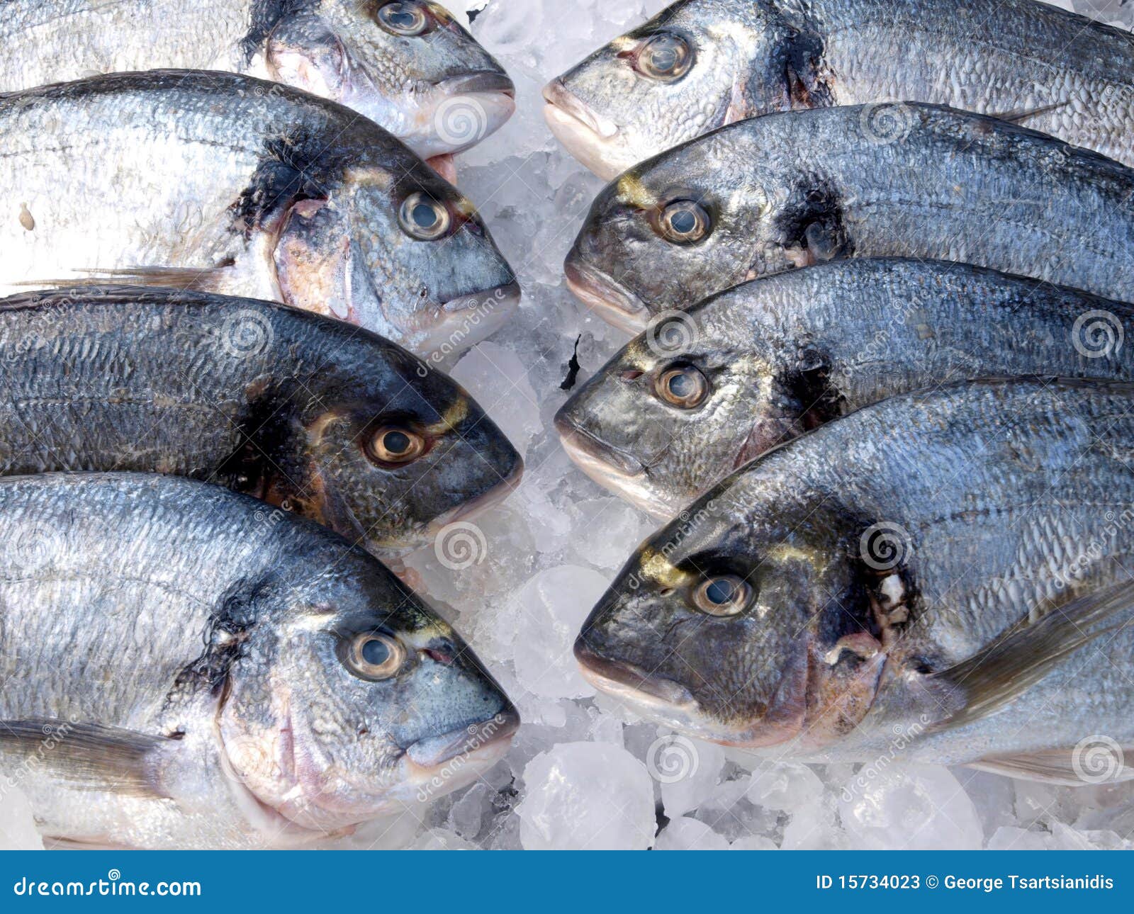 Fresh fish stock image. Image of delicious, healthy, fish - 15734023