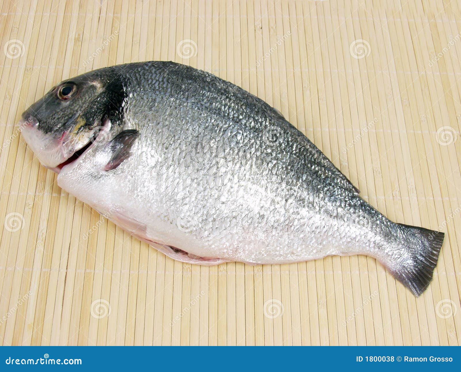 Fresh fish. stock photo. Image of fishes, fishery, coast - 1800038
