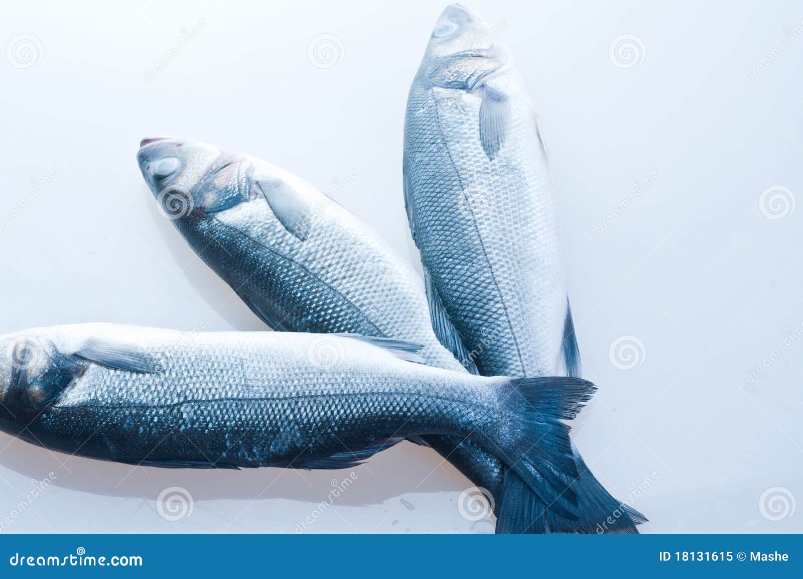 Fresh fish stock image. Image of isolated, freshness - 18131615