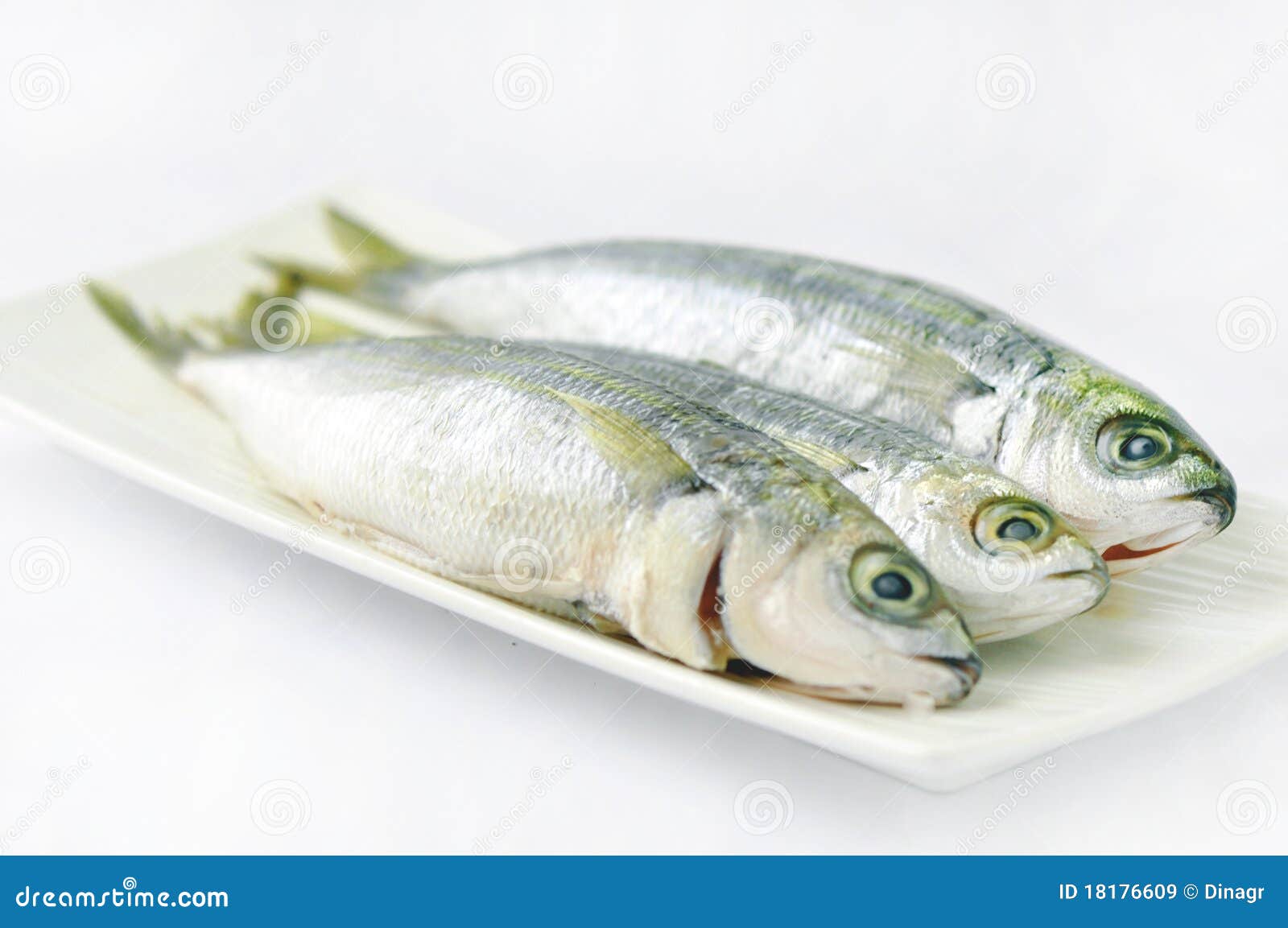 Fresh fish stock image. Image of meat, eating, nutrition - 18176609