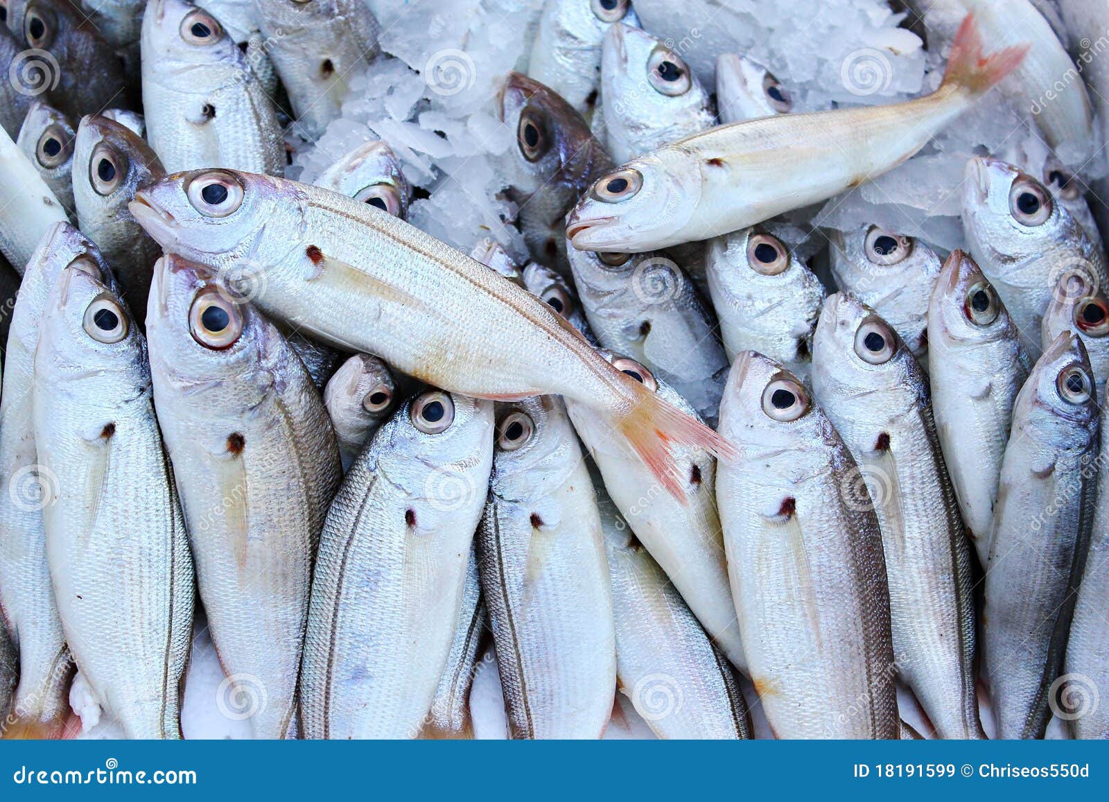 Fresh fish stock image. Image of food, multiple, lots - 18191599