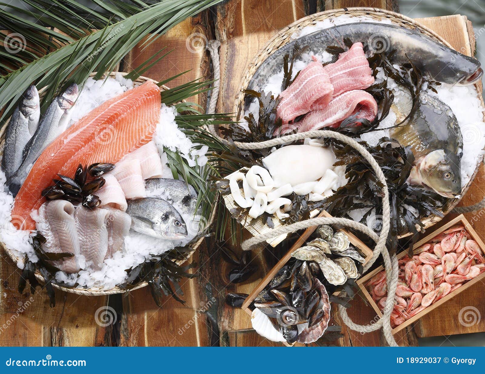 Fresh Fish stock image. Image of freshness, life, arrangement - 18929037
