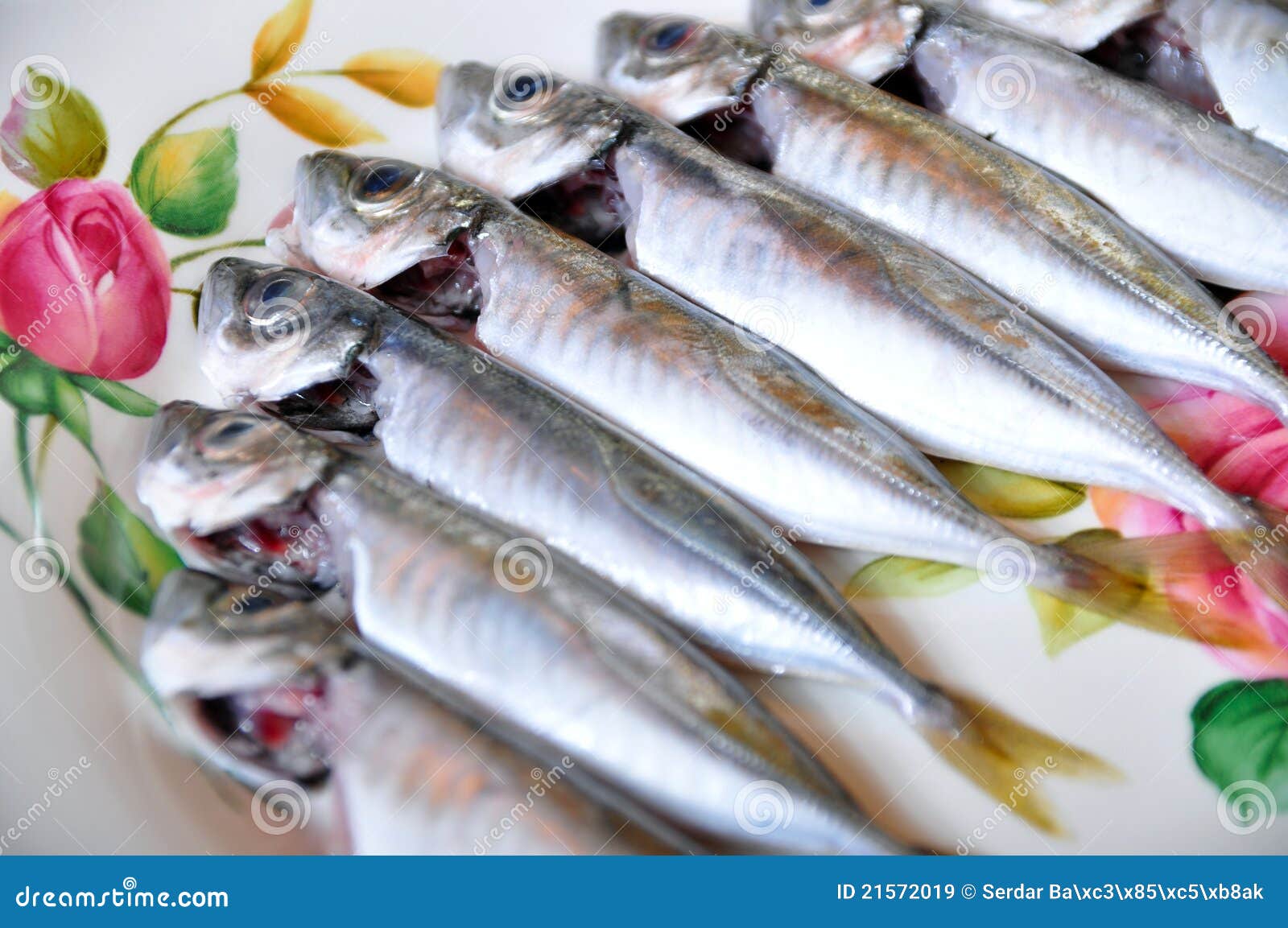 Fresh fish stock image. Image of food, fresh, bench, aquatic - 21572019