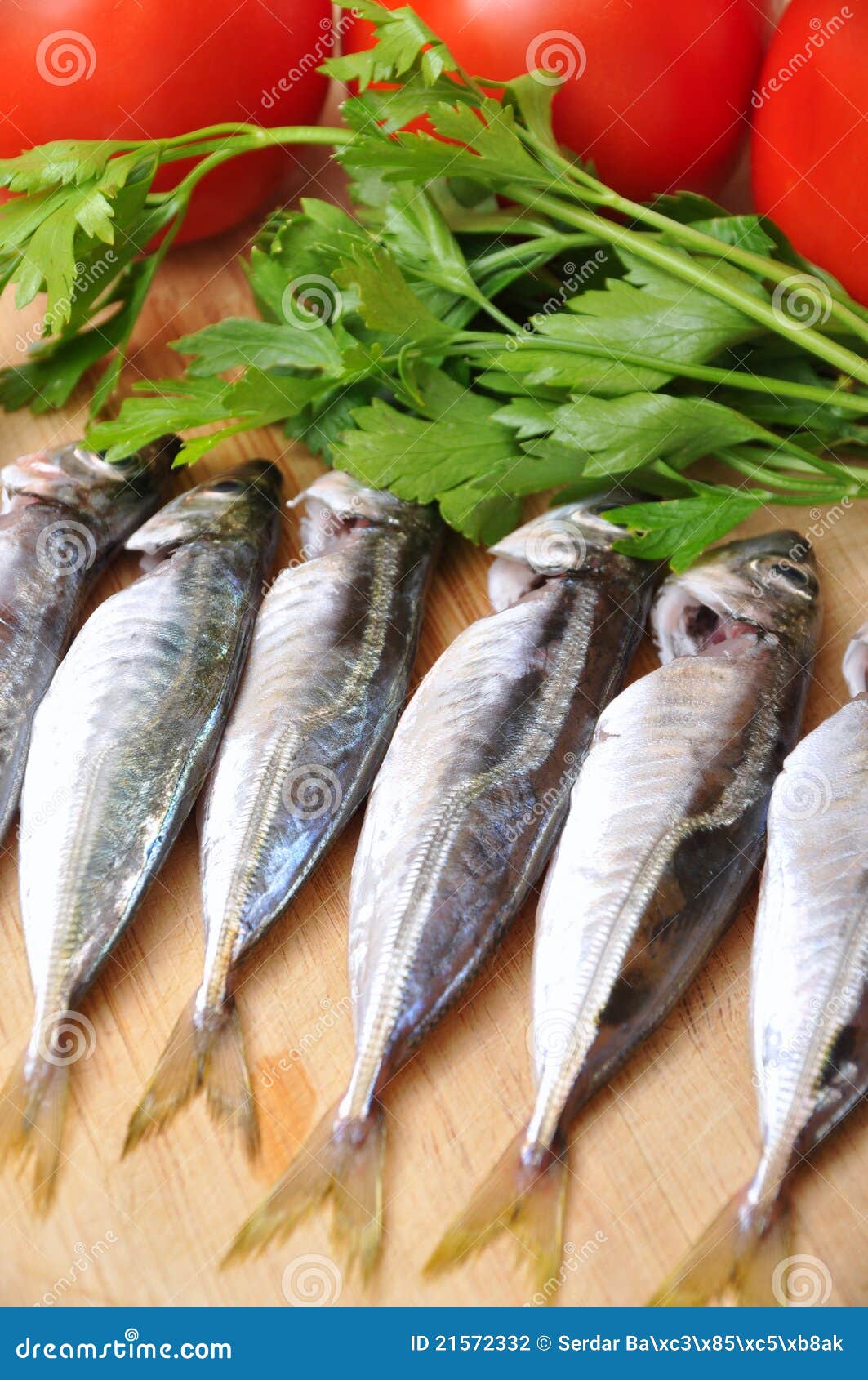 Fresh fish stock photo. Image of fishery, bench, fish - 21572332