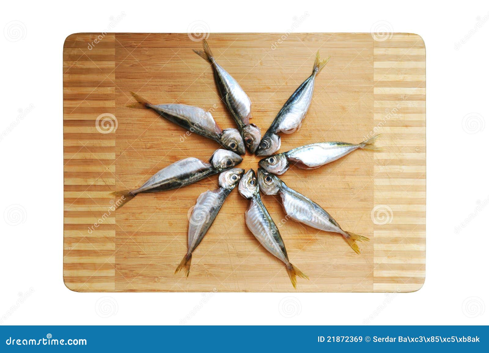 Fresh fish stock image. Image of fresh, clean, diet, animal - 21872369