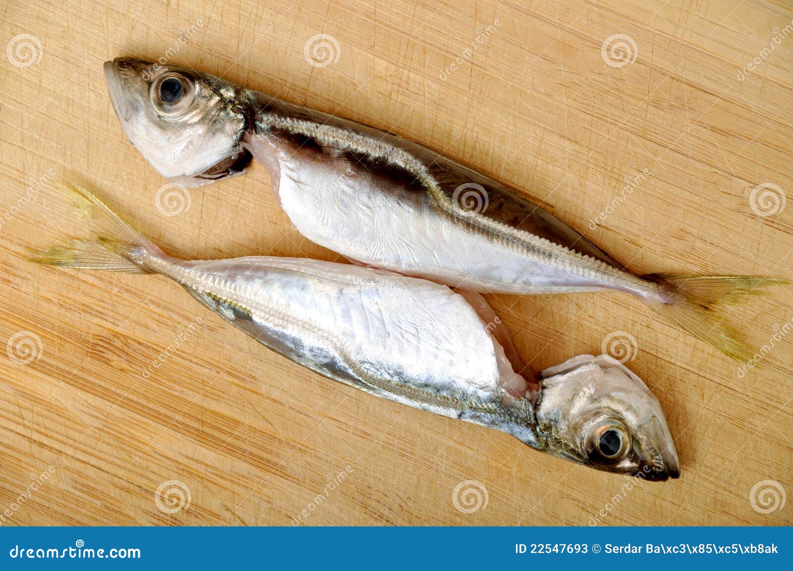 Fresh fish stock image. Image of aquarium, caught, cooking - 22547693