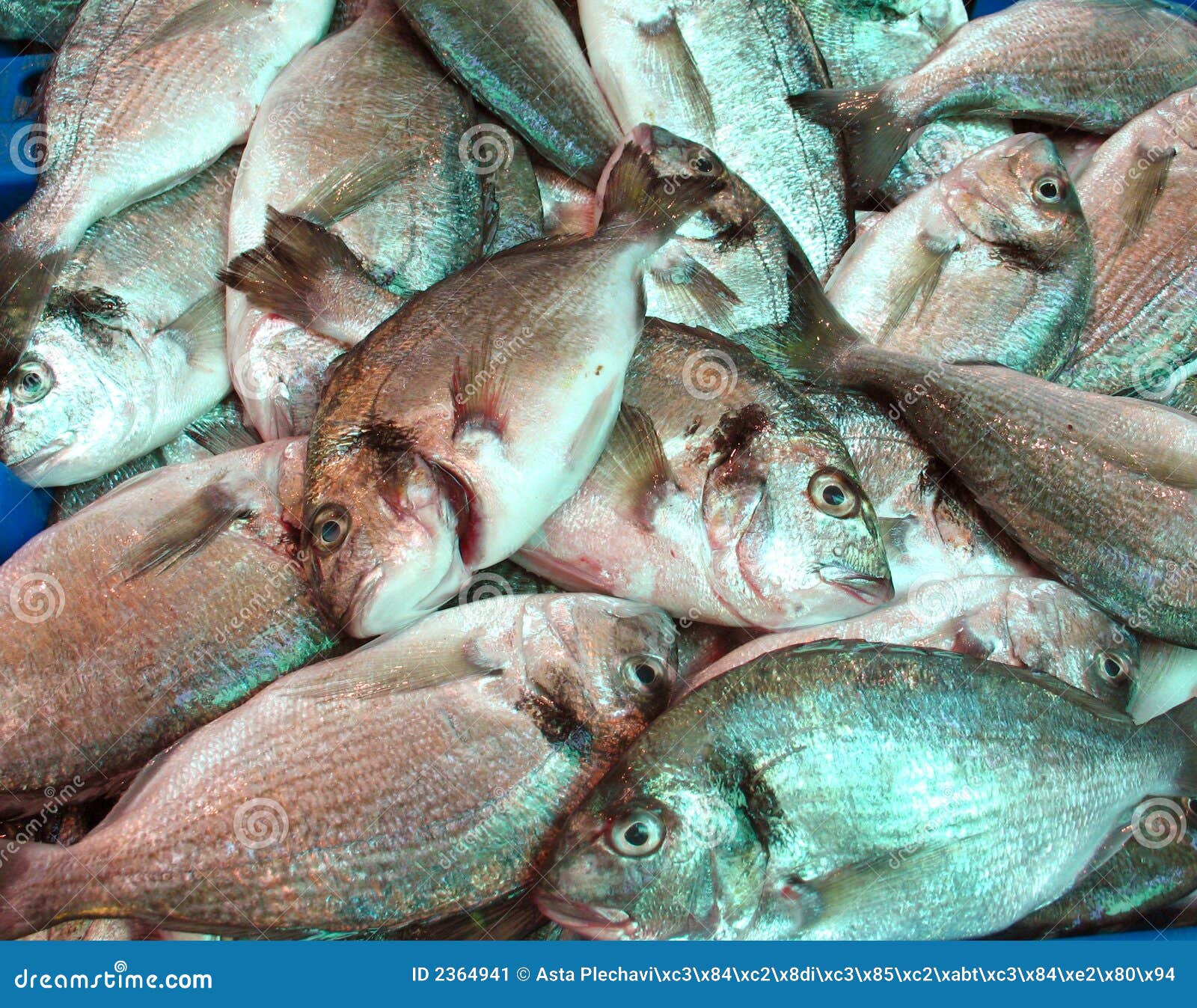 Fresh fish stock image. Image of fishery, food, batch - 2364941