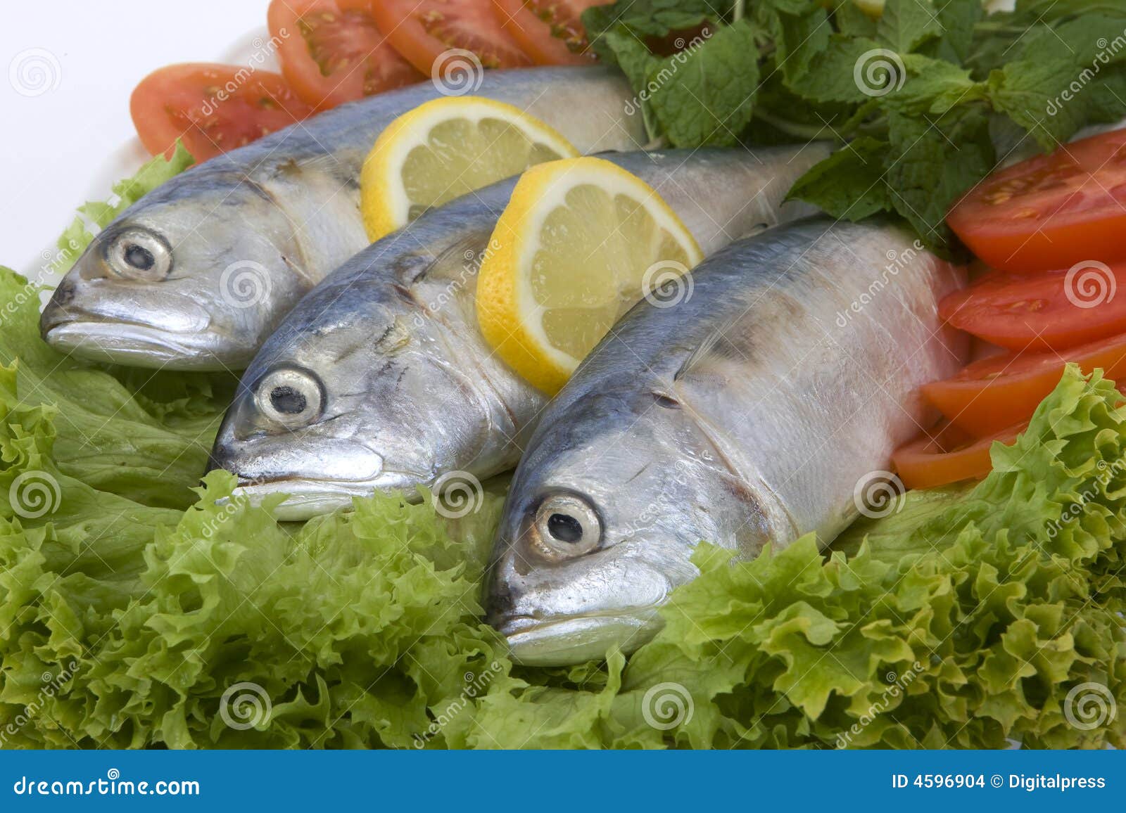 Fresh fish stock photo. Image of dishes, nutrition, protein - 4596904