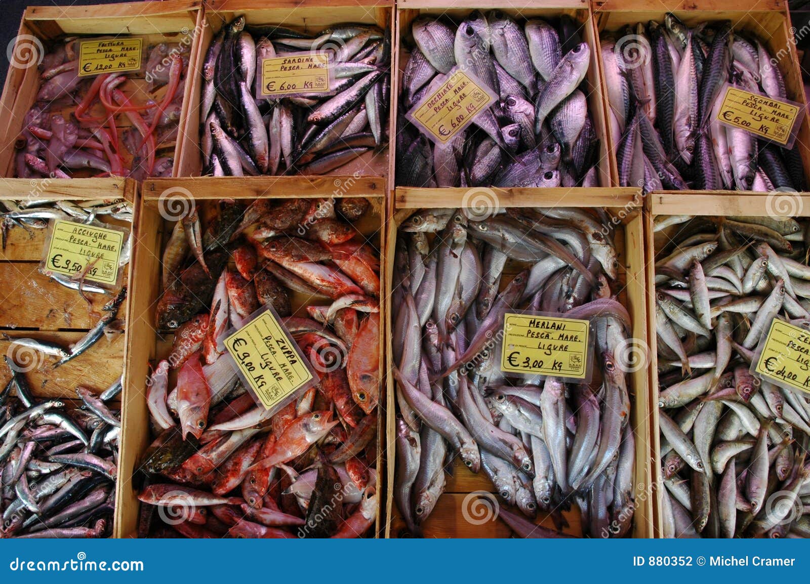 Fresh fish stock photo. Image of healthy, fresh, marine - 880352