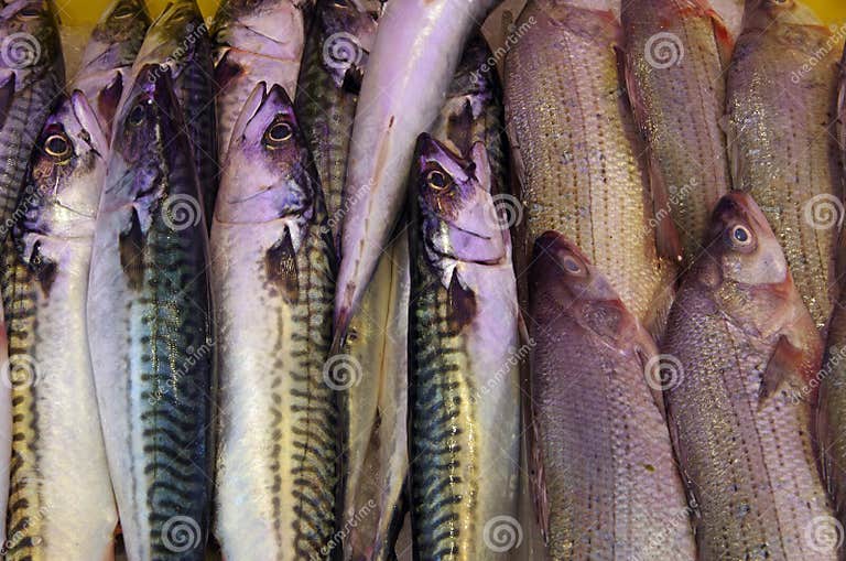 Fresh fish background stock photo. Image of displayed - 72398696