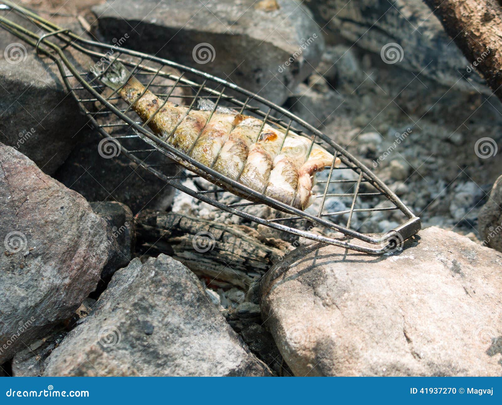 Fresh Fish of a Barbecue on a Fire Coals Stock Photo - Image of ...