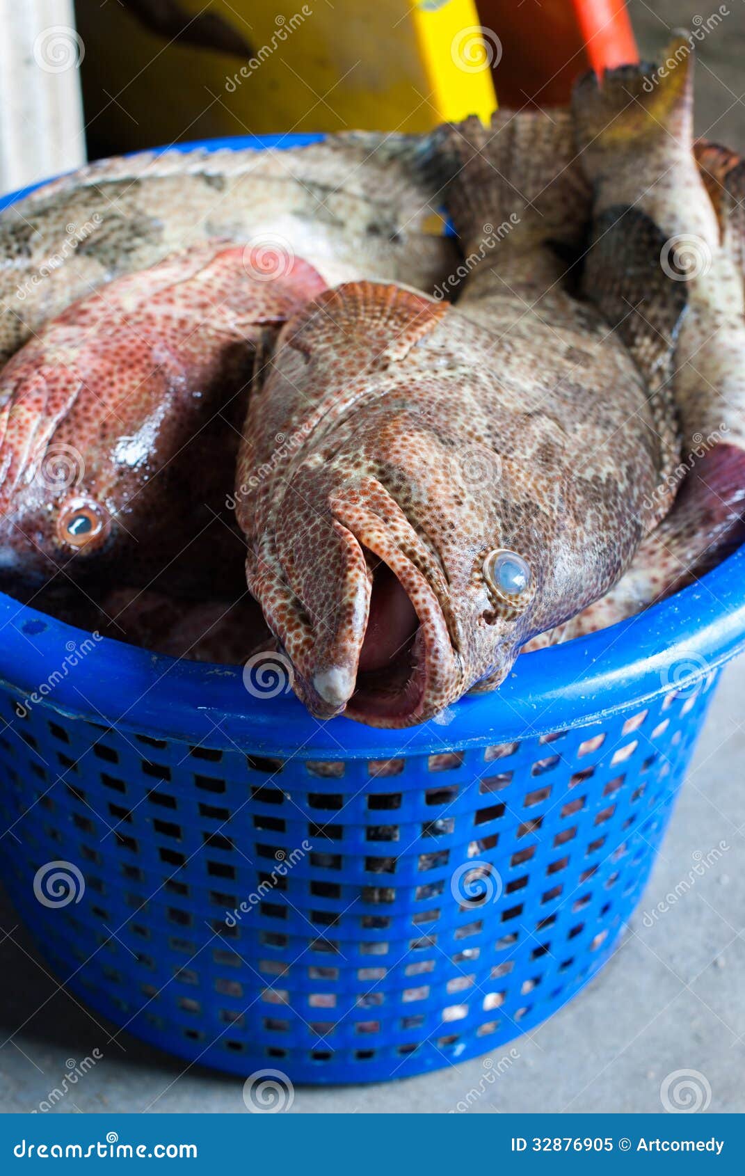 Fresh fish in the basket stock image. Image of delicious - 32876905