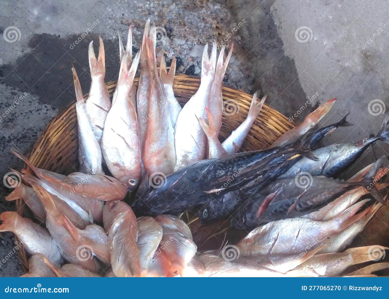 Fresh fish on the basket stock photo. Image of cuisine - 277065270