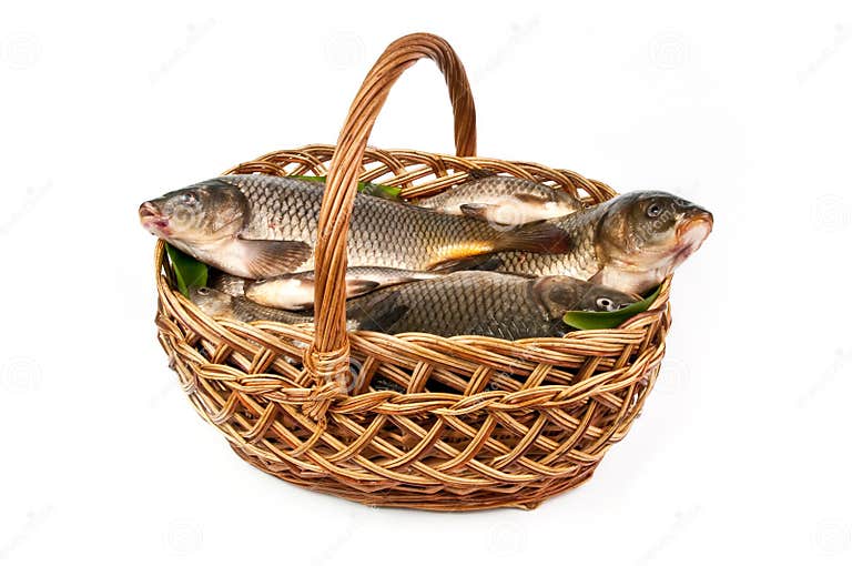 Fresh fish in a basket stock image. Image of cuisine - 37220433