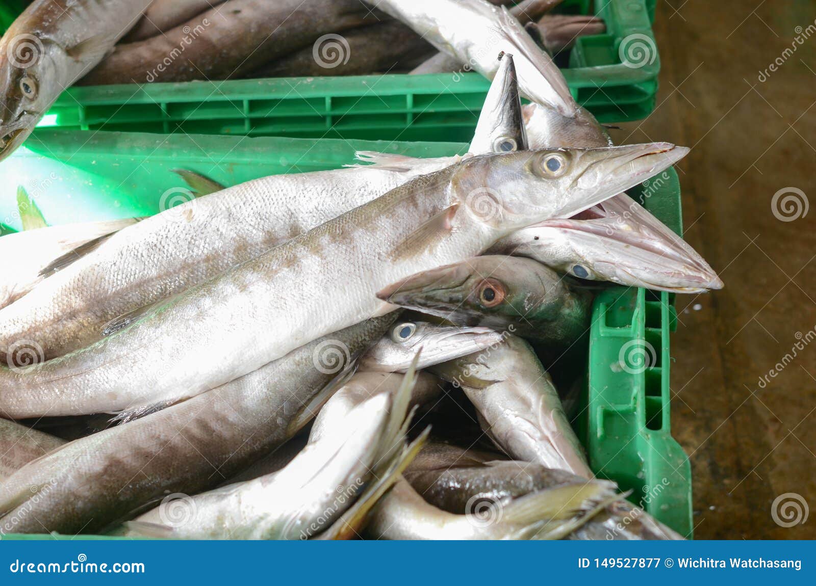 Fresh Fish in a Basket at the Fish Market Stock Image - Image of blue ...