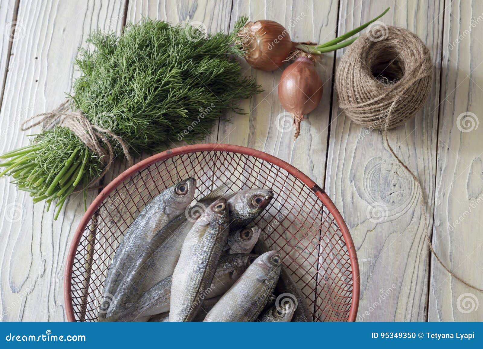 Fresh fish boops stock photo. Image of cookery, food - 95349350