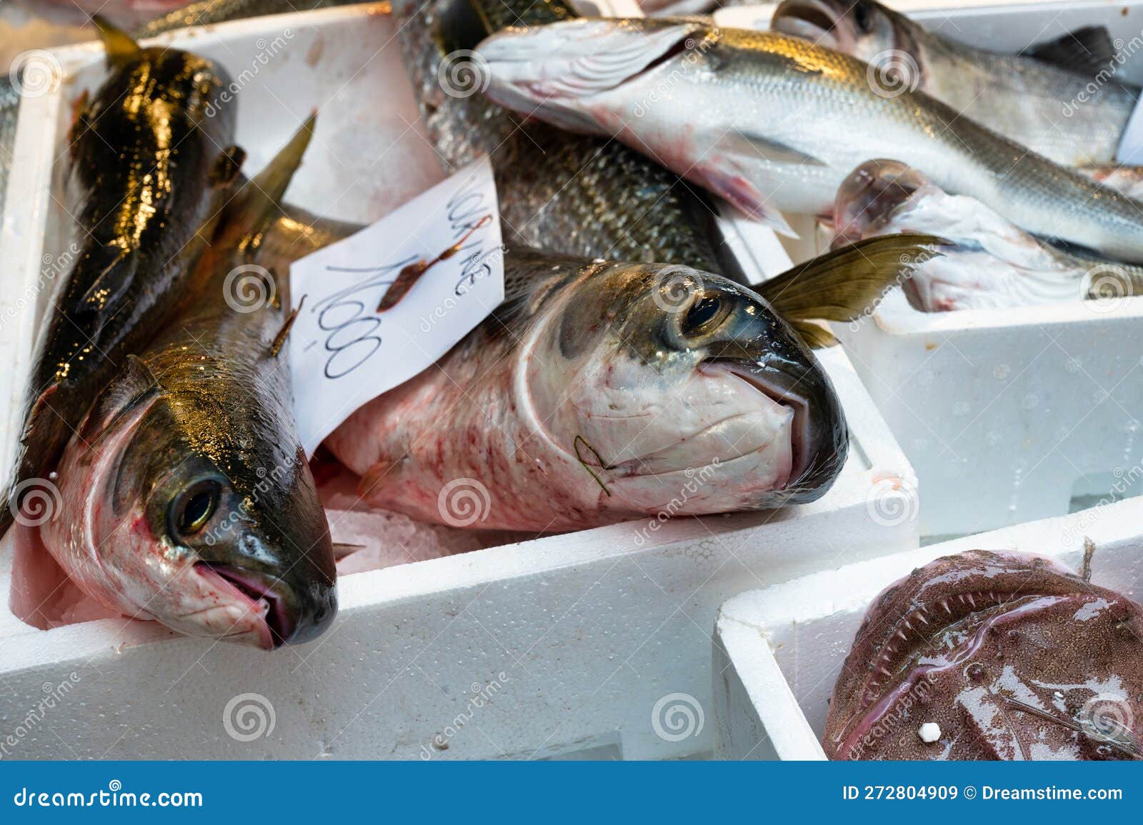 Fresh Fish in a Box stock image. Image of fresh, octopus - 272804909