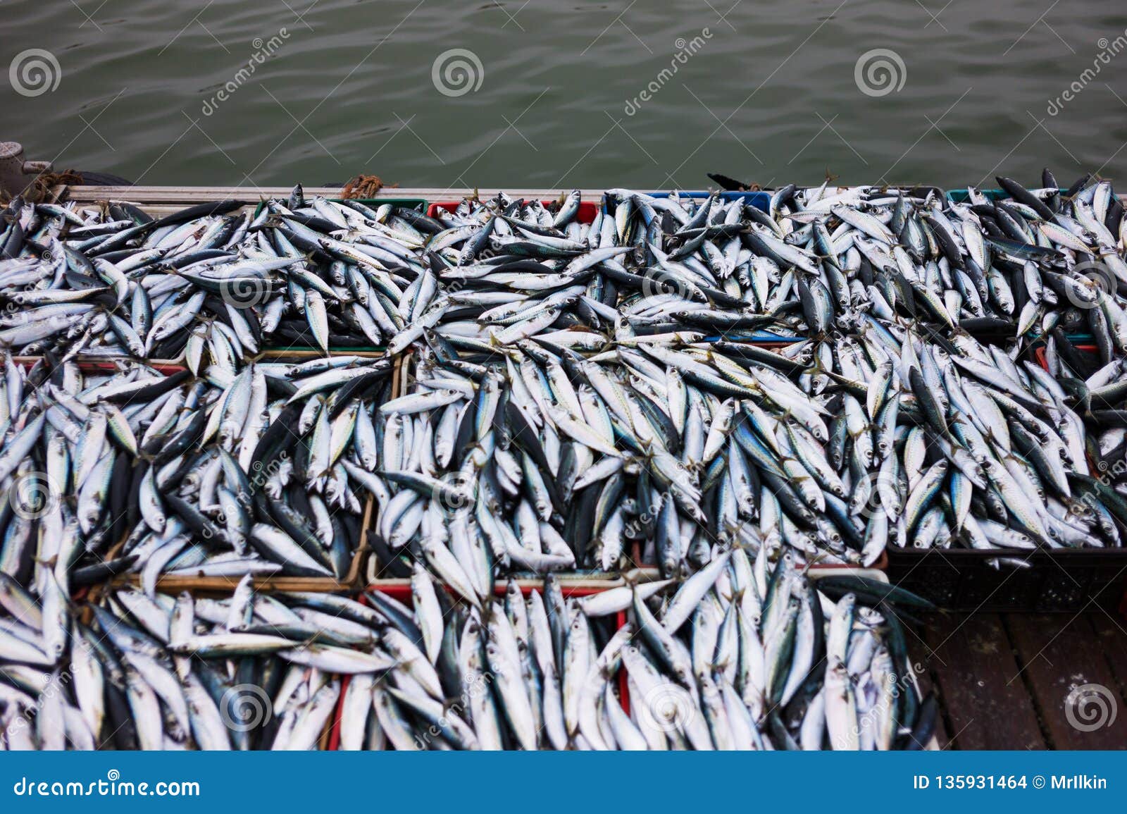 Fresh fish in boxes stock photo. Image of design, bream - 135931464