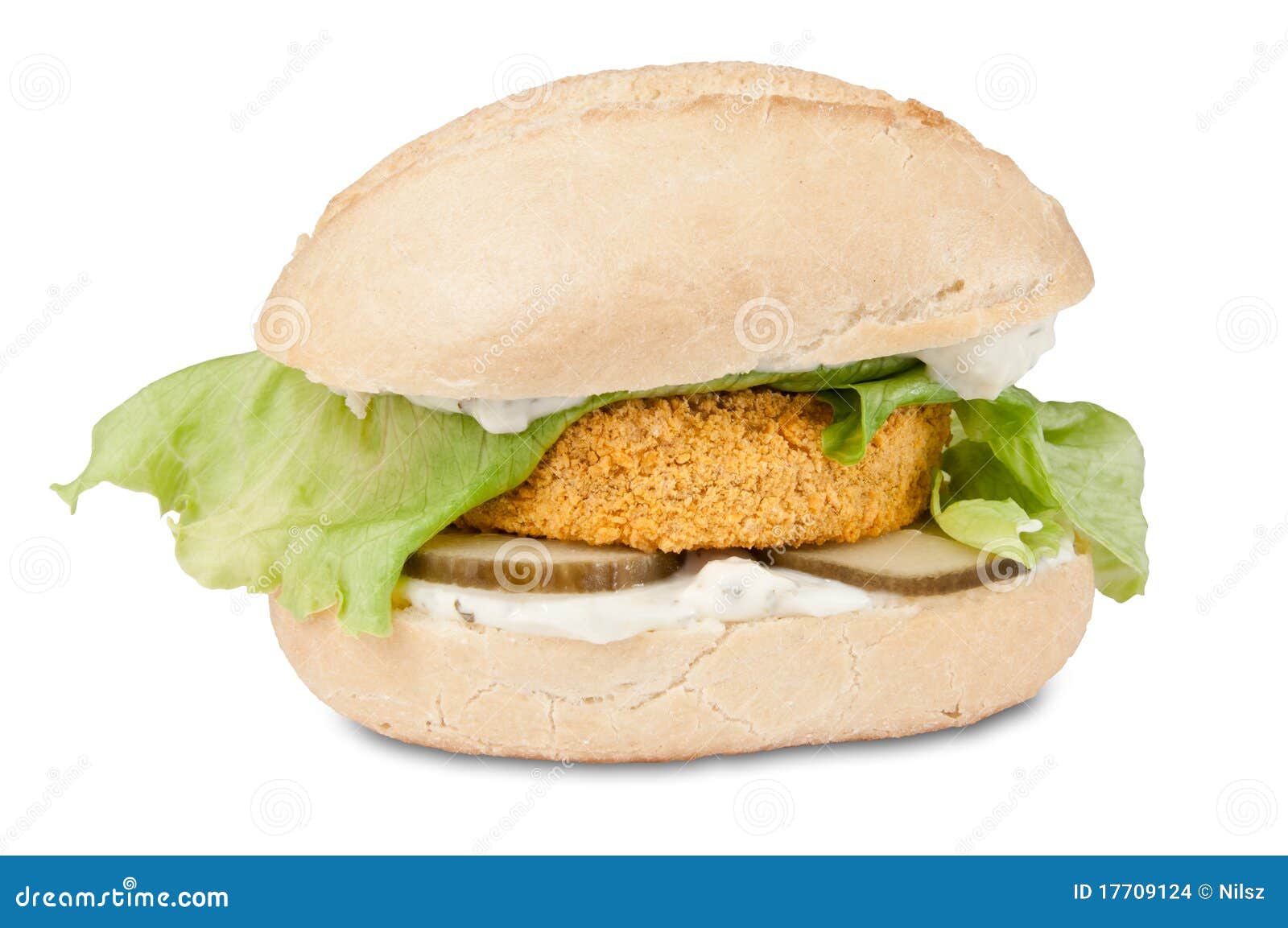 Fresh fish cake sandwich stock photo. Image of fried - 17709124