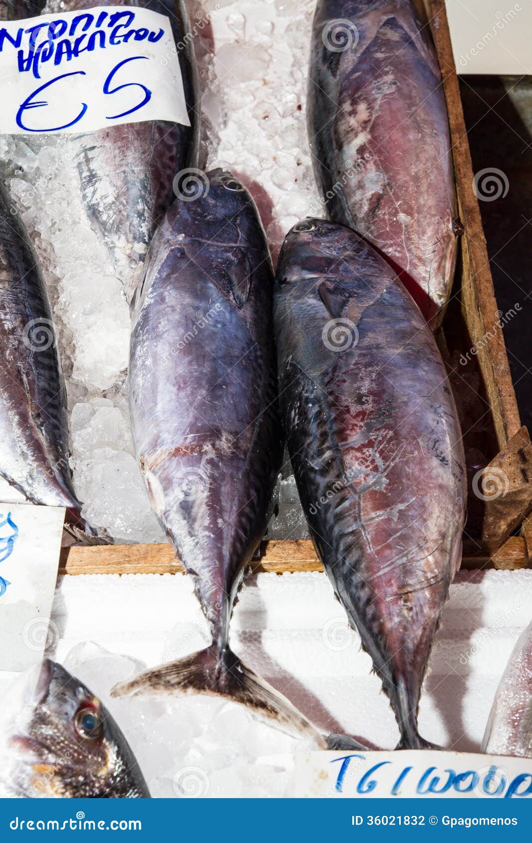 Fresh fish catch stock photo. Image of nature, gourmet - 36021832