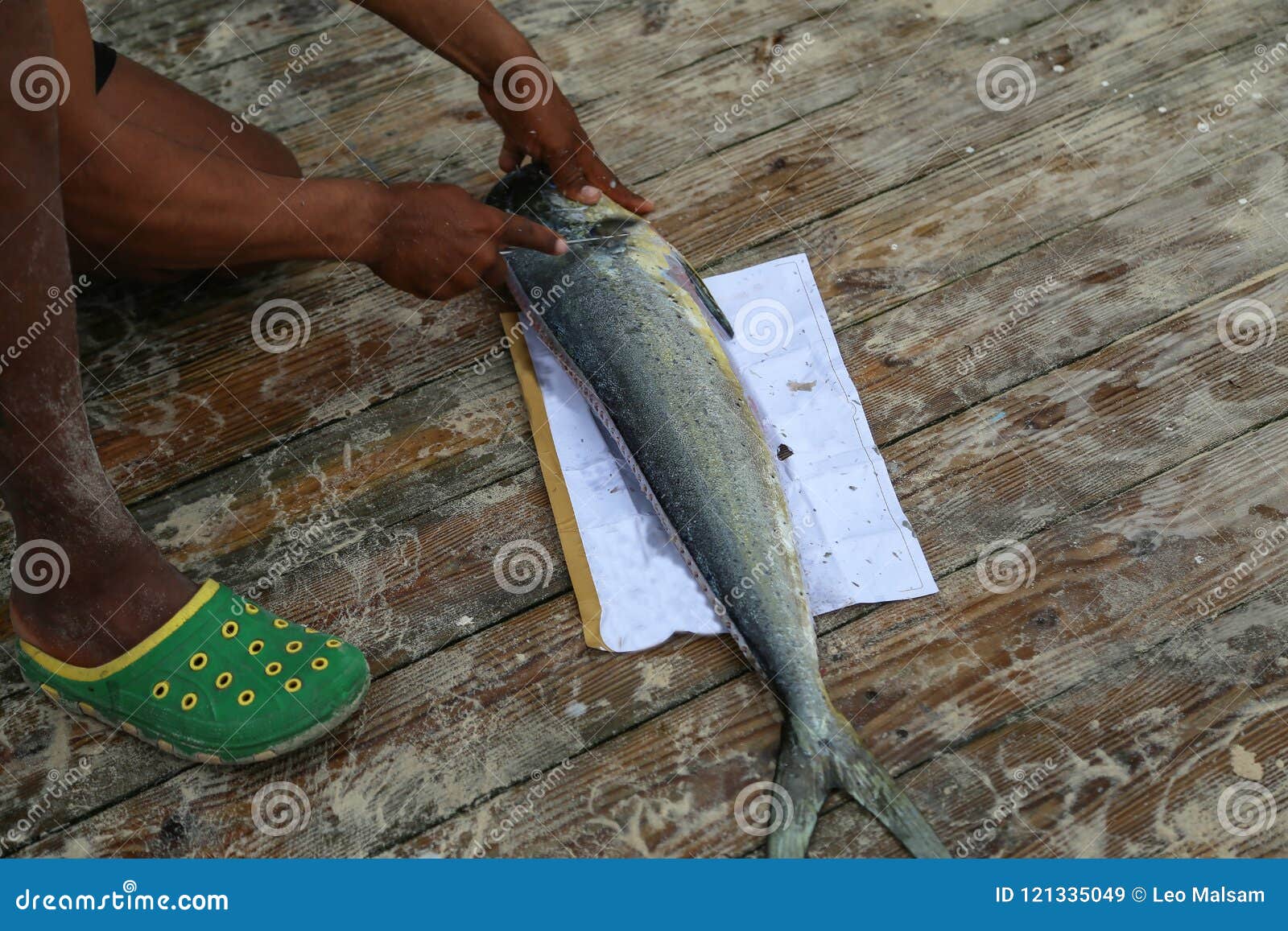 Fresh Fish Caught in the Sea Stock Image - Image of white, fish: 121335049