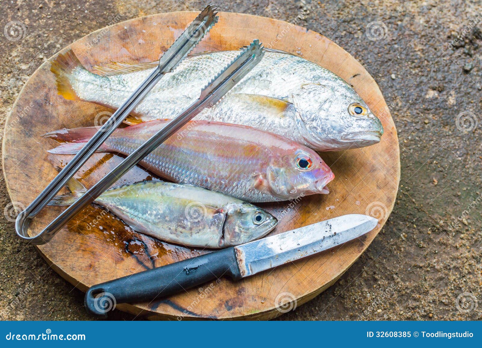 Seafood Chopping Boards Stock Photos - Free & Royalty-Free Stock Photos ...